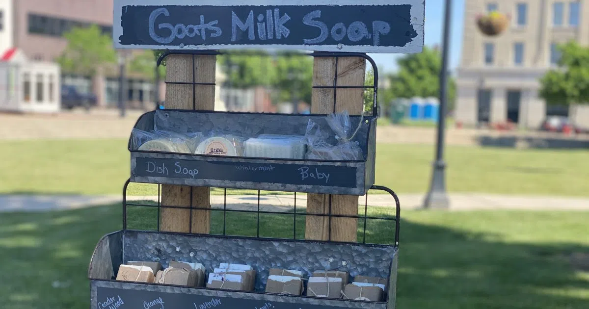 Decatur Central Park Farmer’s Market | NowDecatur.com