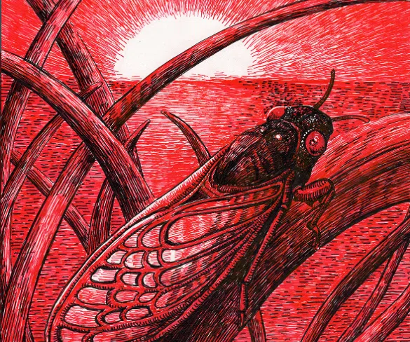 IDNR announces cicada art show winners | NowDecatur.com