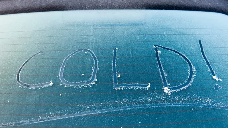 Rose McGowan Backs Matthew McConaughey on Liberal Celeb Hypocrisy ...