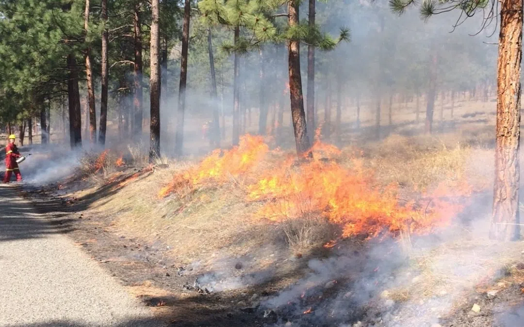 Merritt Fire and Rescue Department will commence prescribed burns in ...