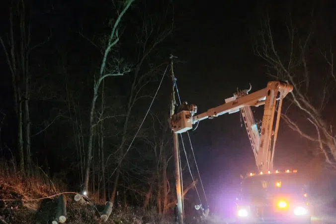 Centralia Man Trapped on Front Porch After Large Tree Falls on Porch ...