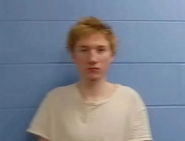 Centralia man charged in connection with Blue Goose burglary | South ...