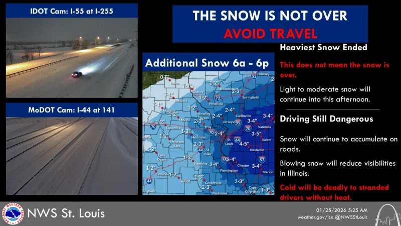 Salem Animal Control Department Issues Some Extreme Cold Weather Advice ...