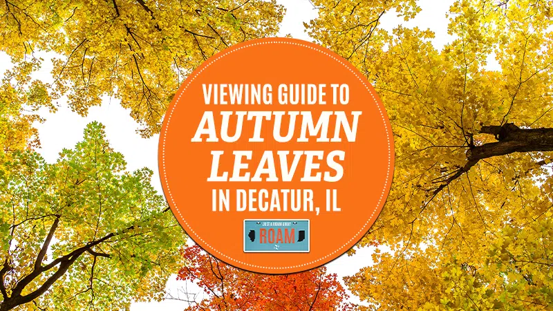Viewing Guide to Autumn leaves in Decatur | justaroamaway.com