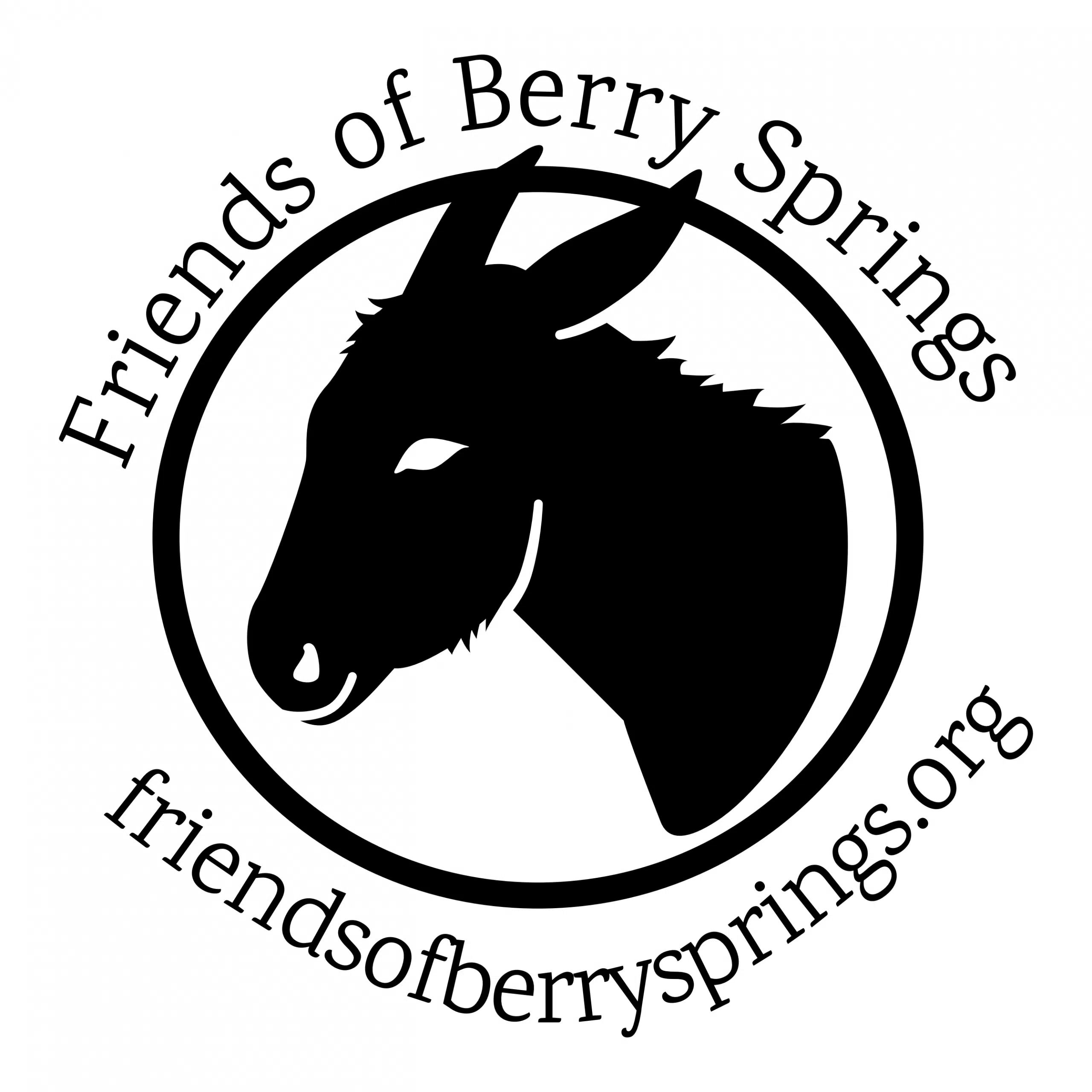 Photo Shoot with the Donkeys | Hello Georgetown