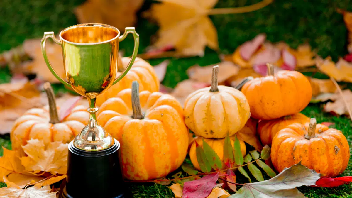 2023 Williamson County Pumpkin Growing Contest Winners | Hello Georgetown