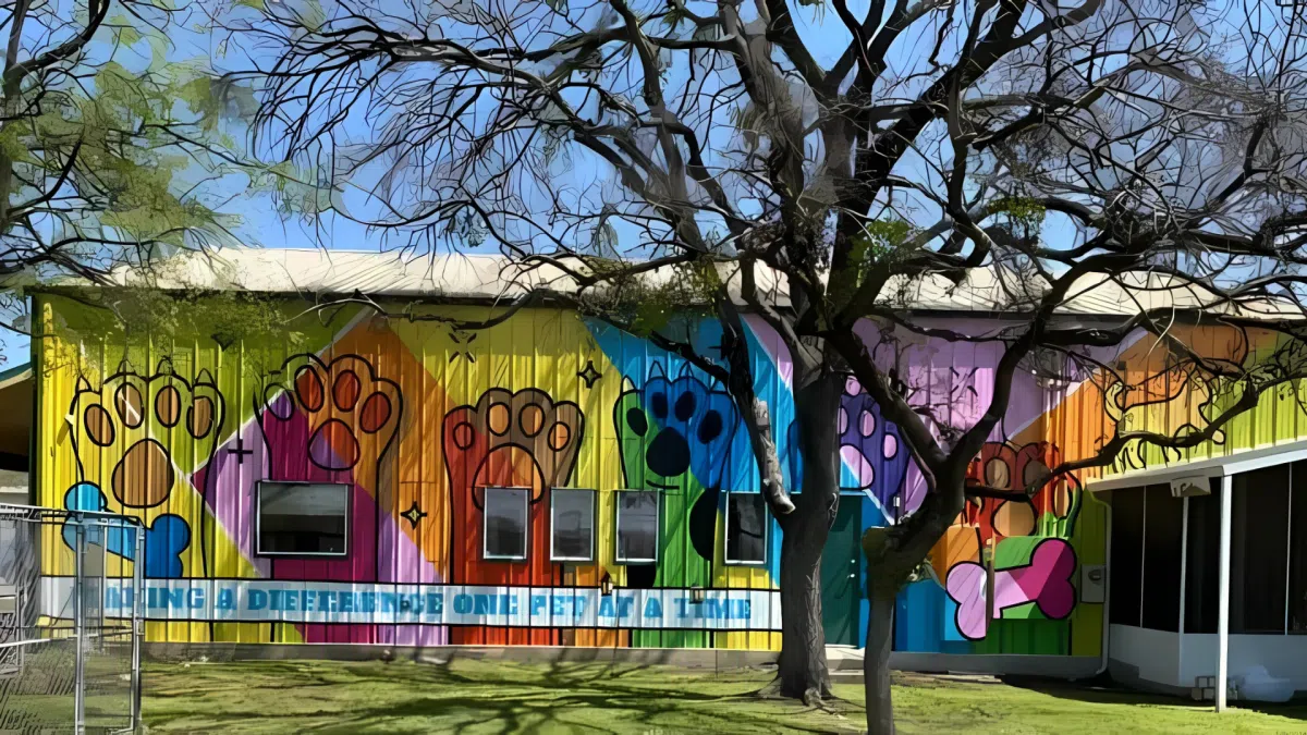 Georgetown Animal Shelter Achieves No-Kill Status for 10th Year with 94.4% Save Rate | Hello ...