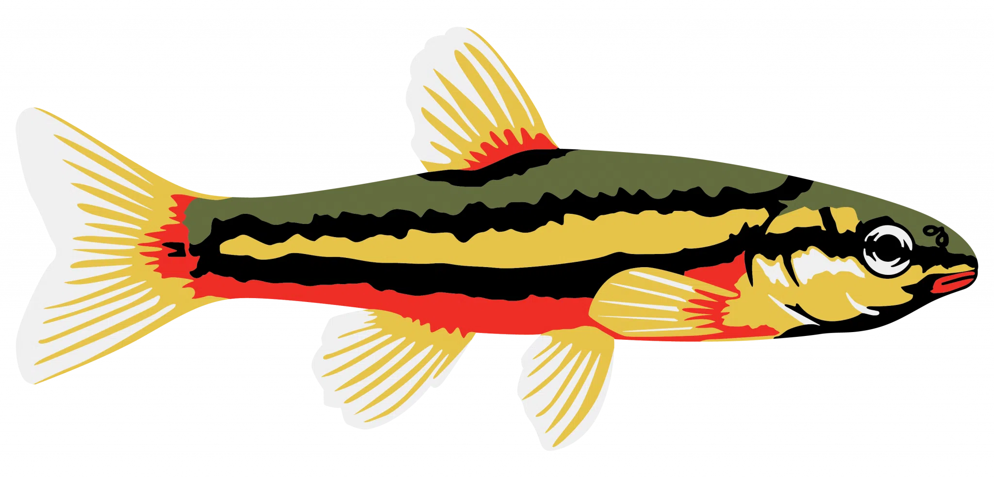 TN Aquarium to Hold Fundraiser Race for Endangered Fish Species | Power ...