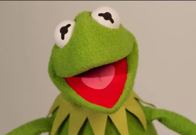 Willie Nelson Brings Kermit Out On Stage | Surge 105