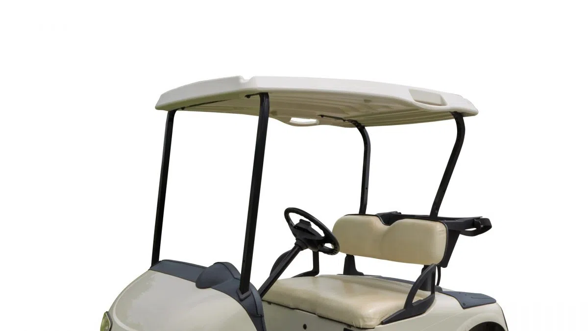 Beep Beep! Did You See This On the Bridge? | Surge 105