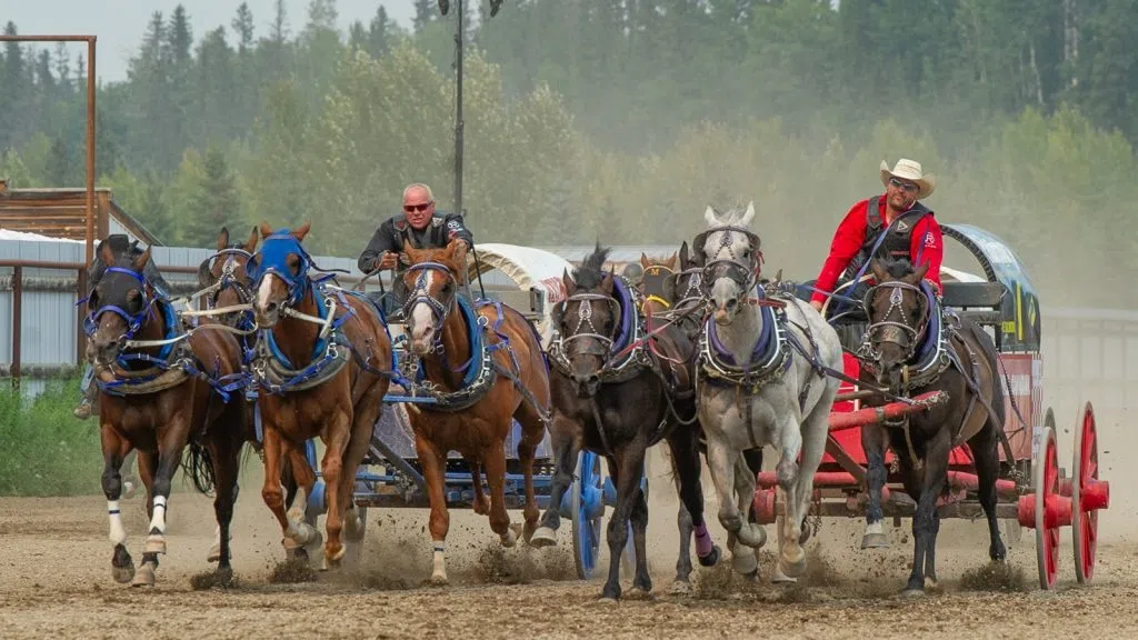 World Professional Chuckwagon Association finals to return to Rocky ...
