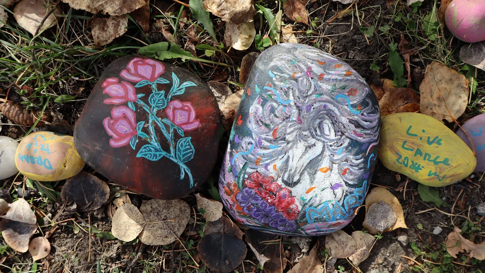 Rocco the rock snake packed up for winter, will return spring 2025 | 94 ...