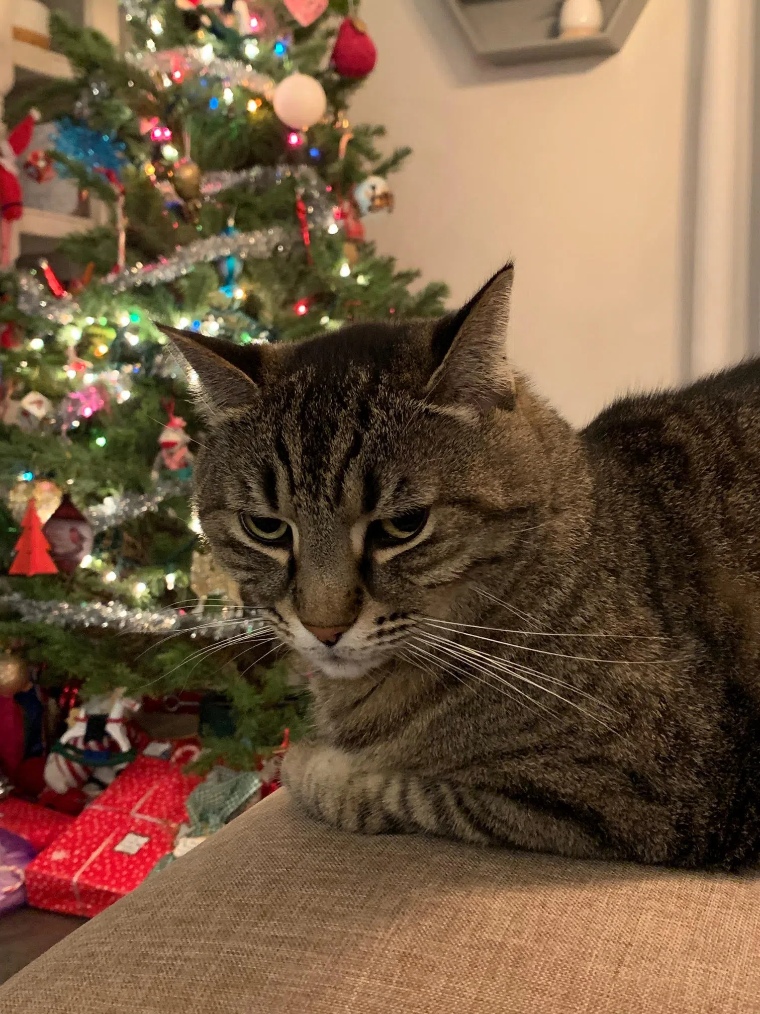 Cranbrook Fire Department offers holiday safety tips | 102.9 Rewind ...