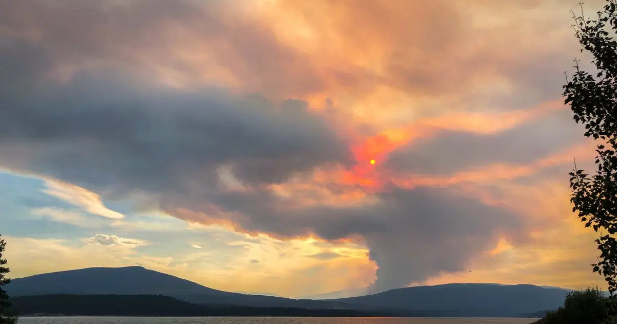 Connell Ridge fire near Cranbrook upgraded to Wildfire of Note | 102.9 ...