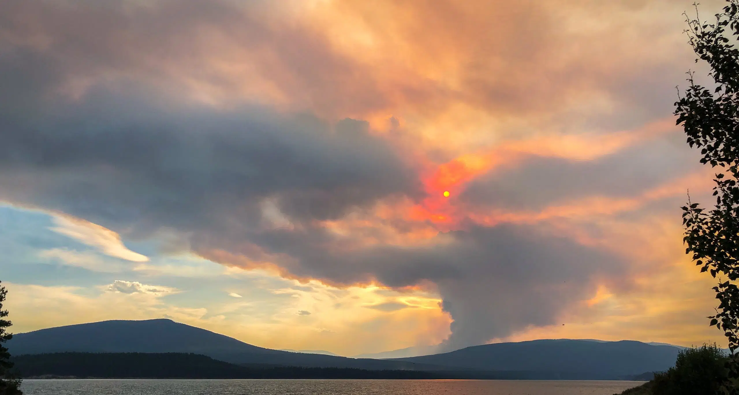 Connell Ridge fire near Cranbrook upgraded to Wildfire of Note | 102.9 ...
