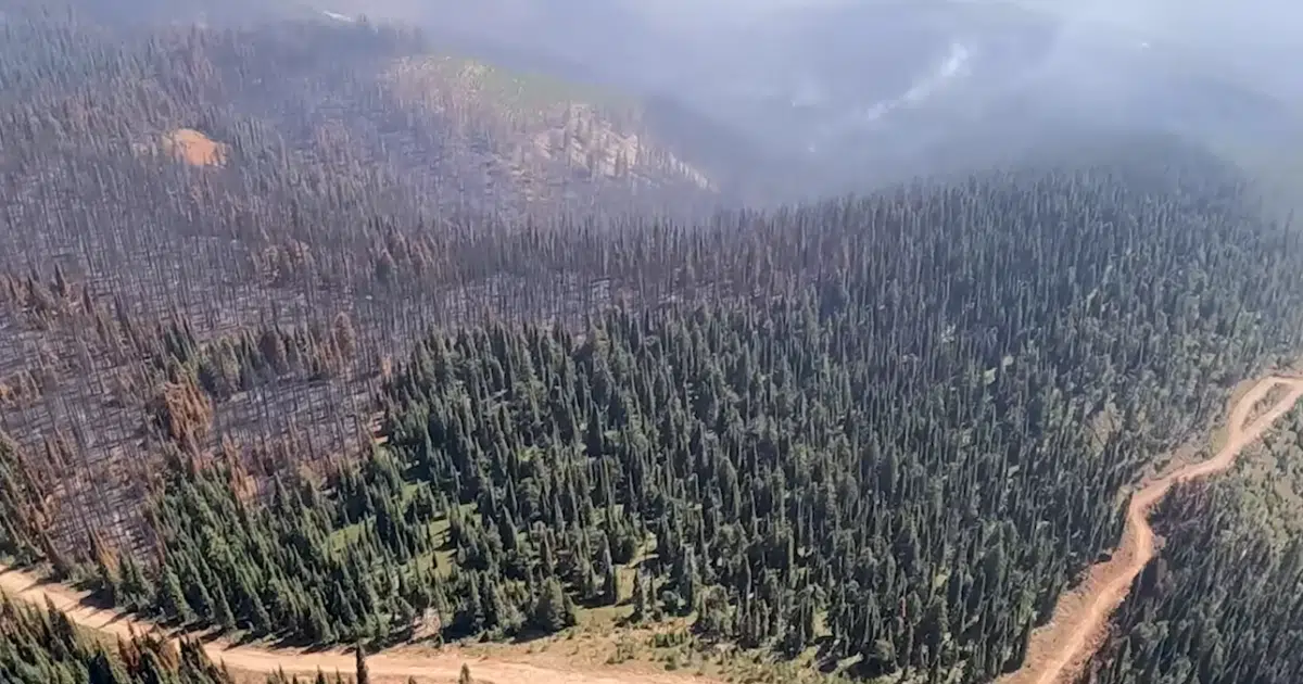 BC Wildfire Service outlines progress made with Connell Ridge wildfire ...