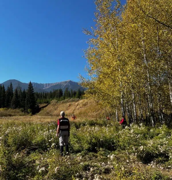 Elk Valley SAR teams supporting search for missing person from Alberta ...