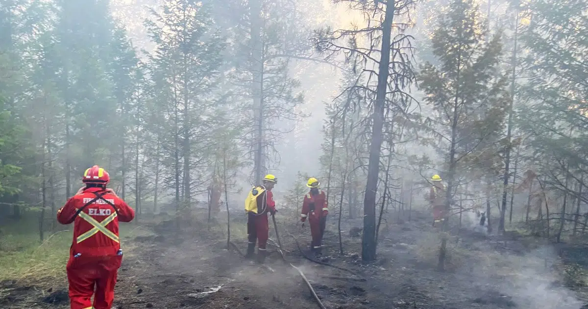 Fire crews battle blaze in Baynes Lake area | 102.9 Rewind Radio - East ...