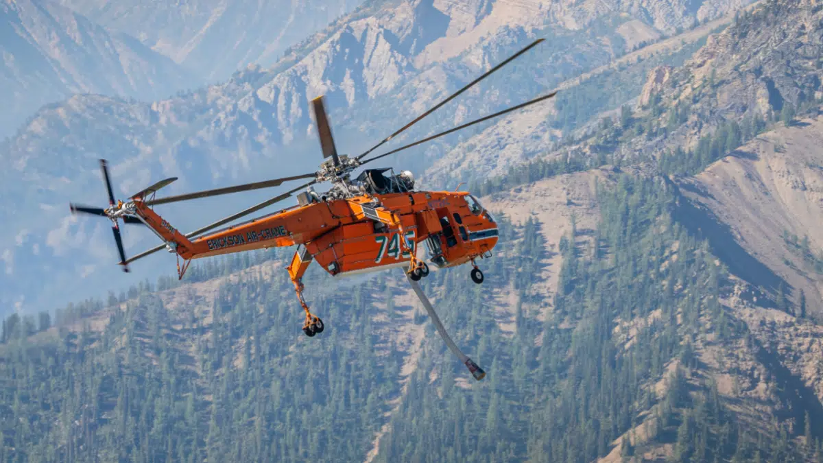 BC Wildfire Service focused on stopping spread of Horsethief Creek ...