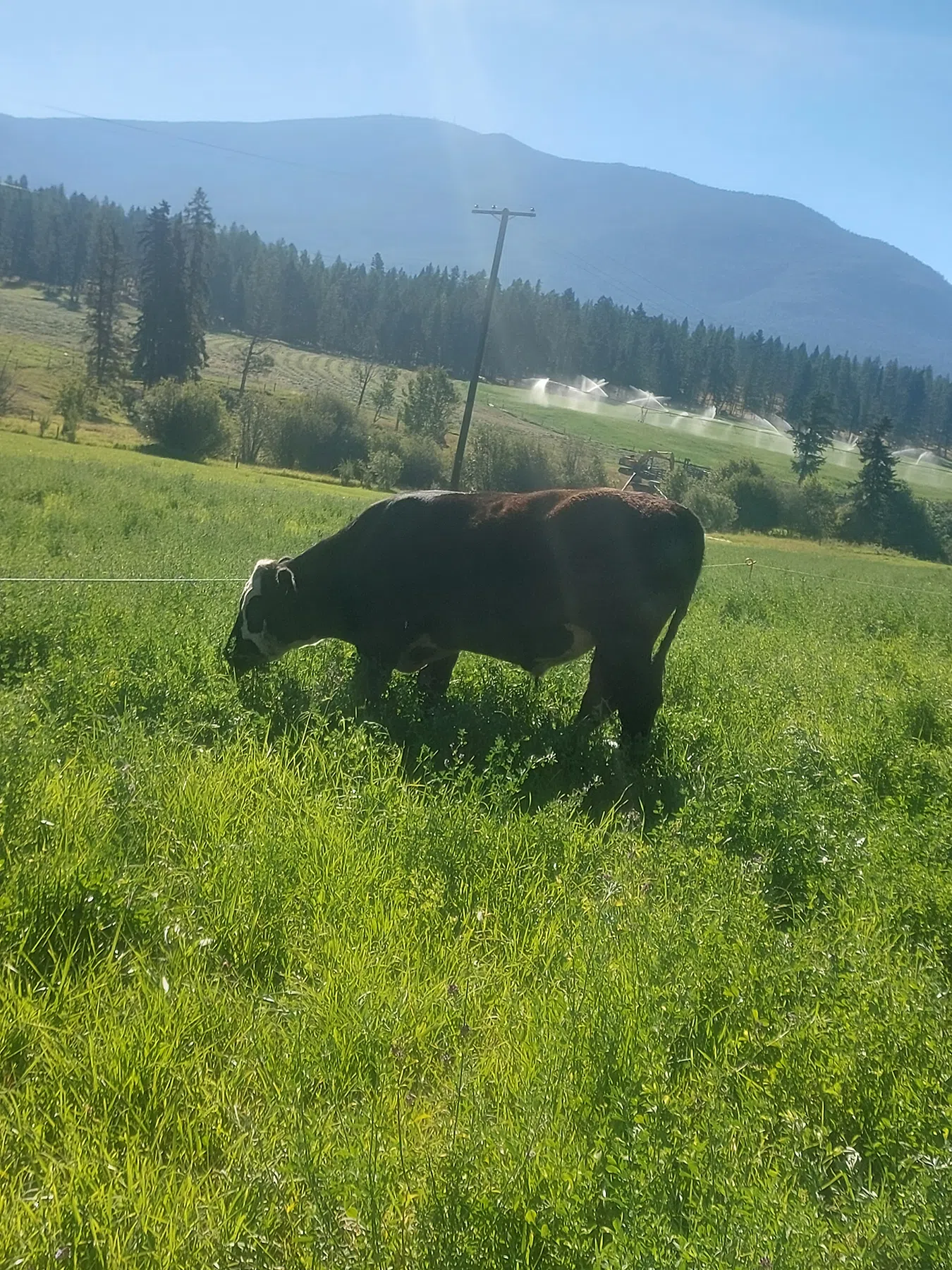 CBT invests over $1M to help local farms with climate change adaptation ...