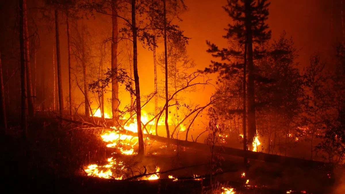 Cranbrook Fire reports 11 per cent rise in Q3 calls | Wild 104.7 - East ...