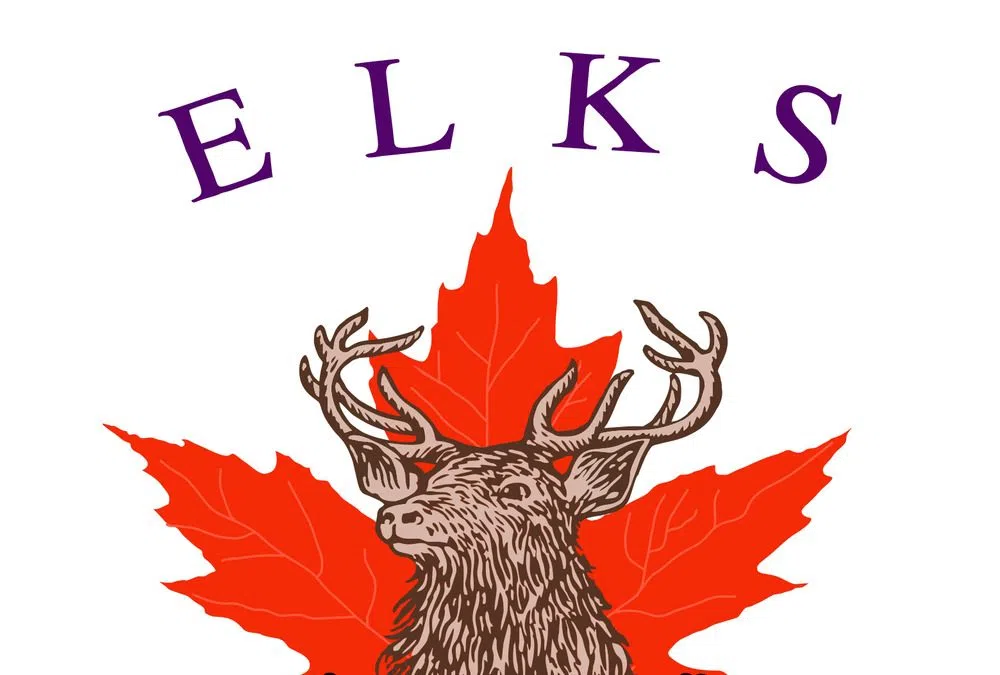 Elks, all about helping their community | Wild 104.7 - East Kootenay's ...
