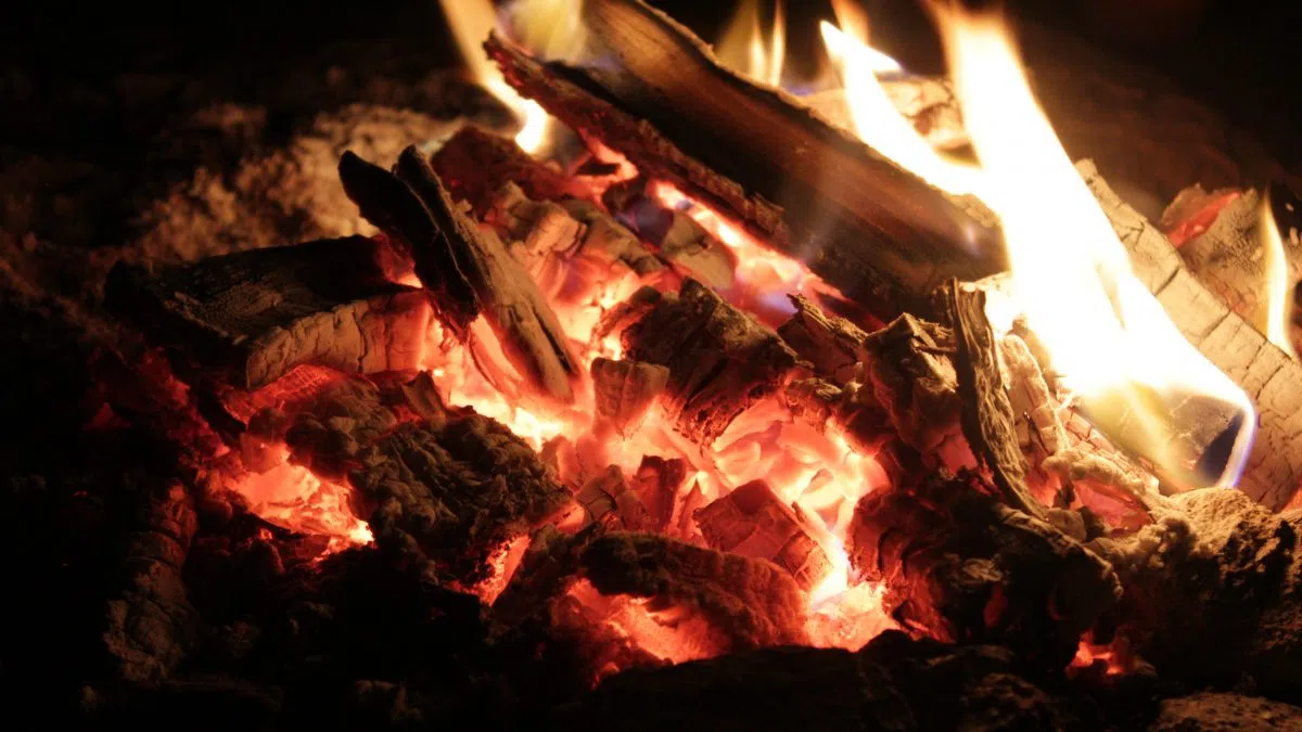 Category 3 fire ban starts May 30 in Southeast B.C. | 102.9 Rewind ...