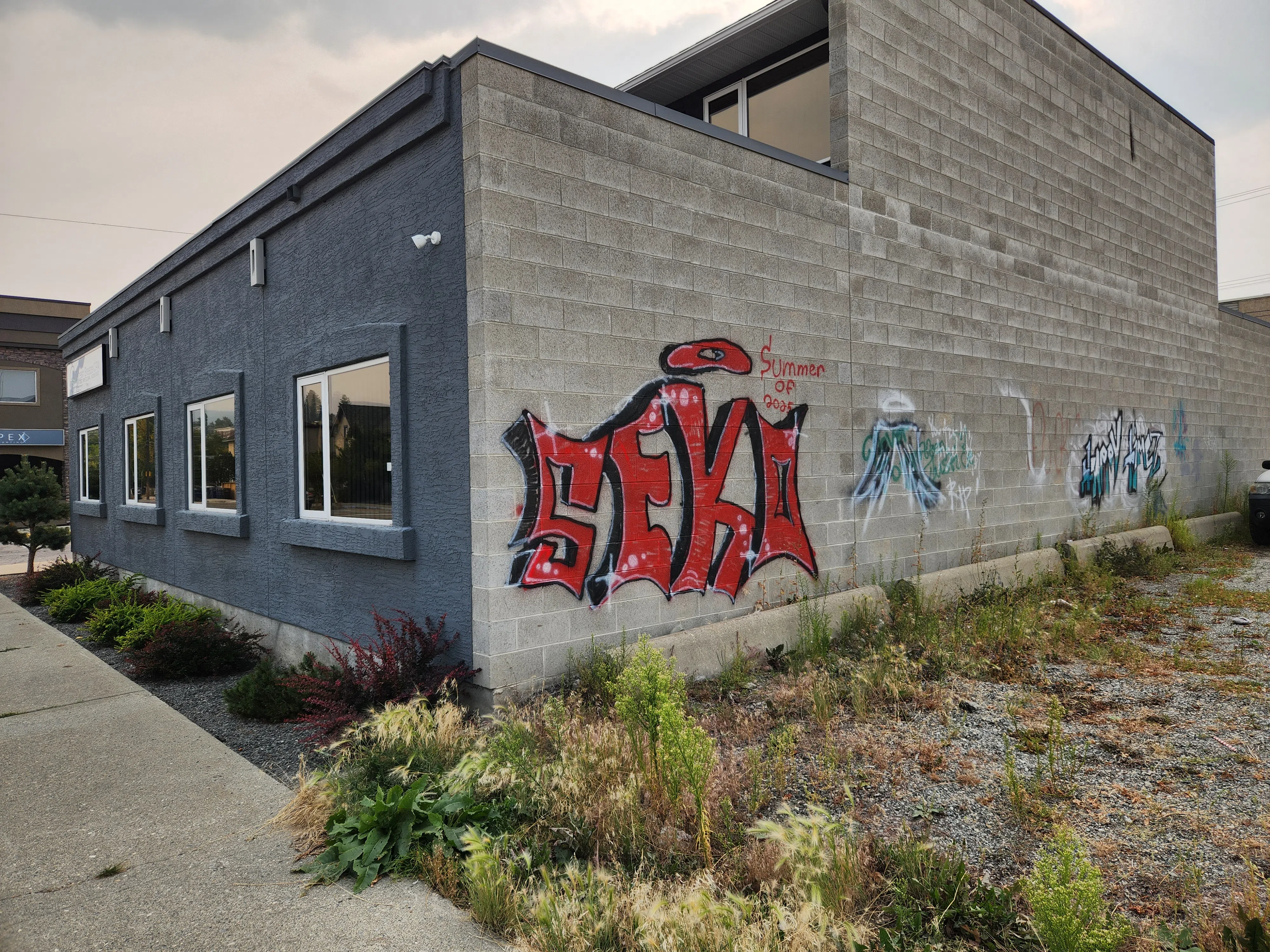 Cranbrook businesses see surge of graffiti tagging | Wild 104.7 - East ...