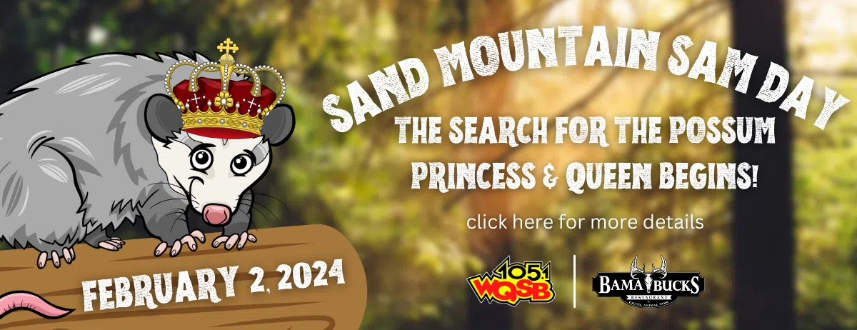 Sand Mountain Broadcasting