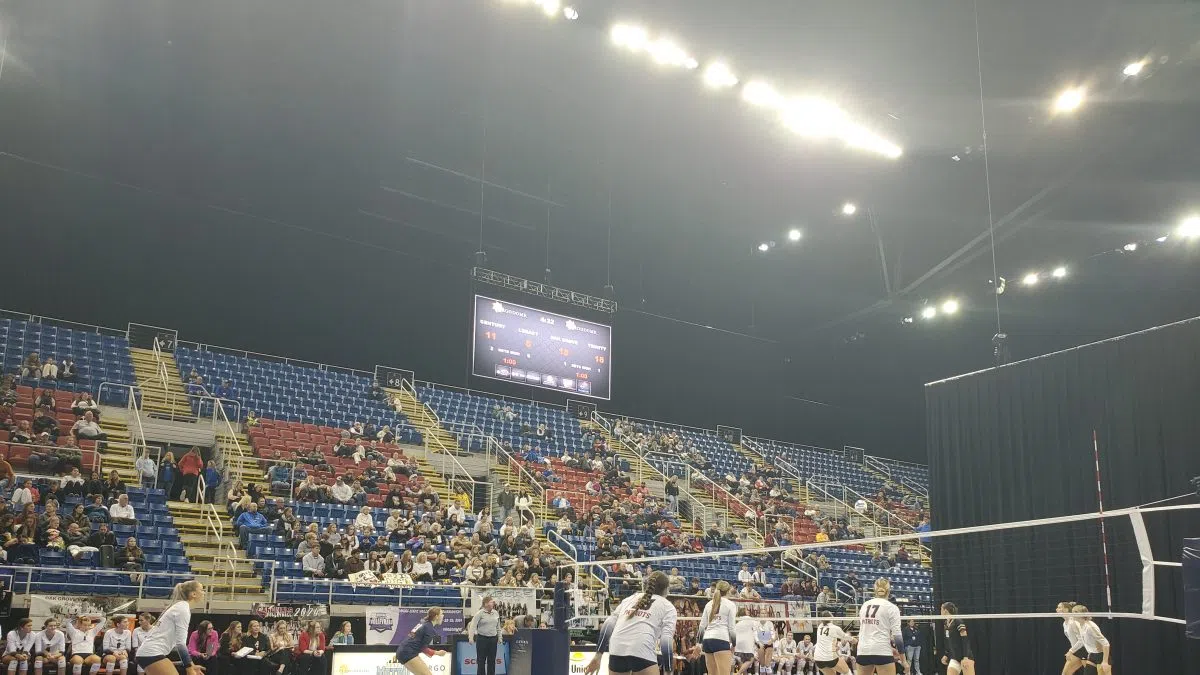 Jamestown Bluejays volleyball battles to the end, Medina-Pingree ...