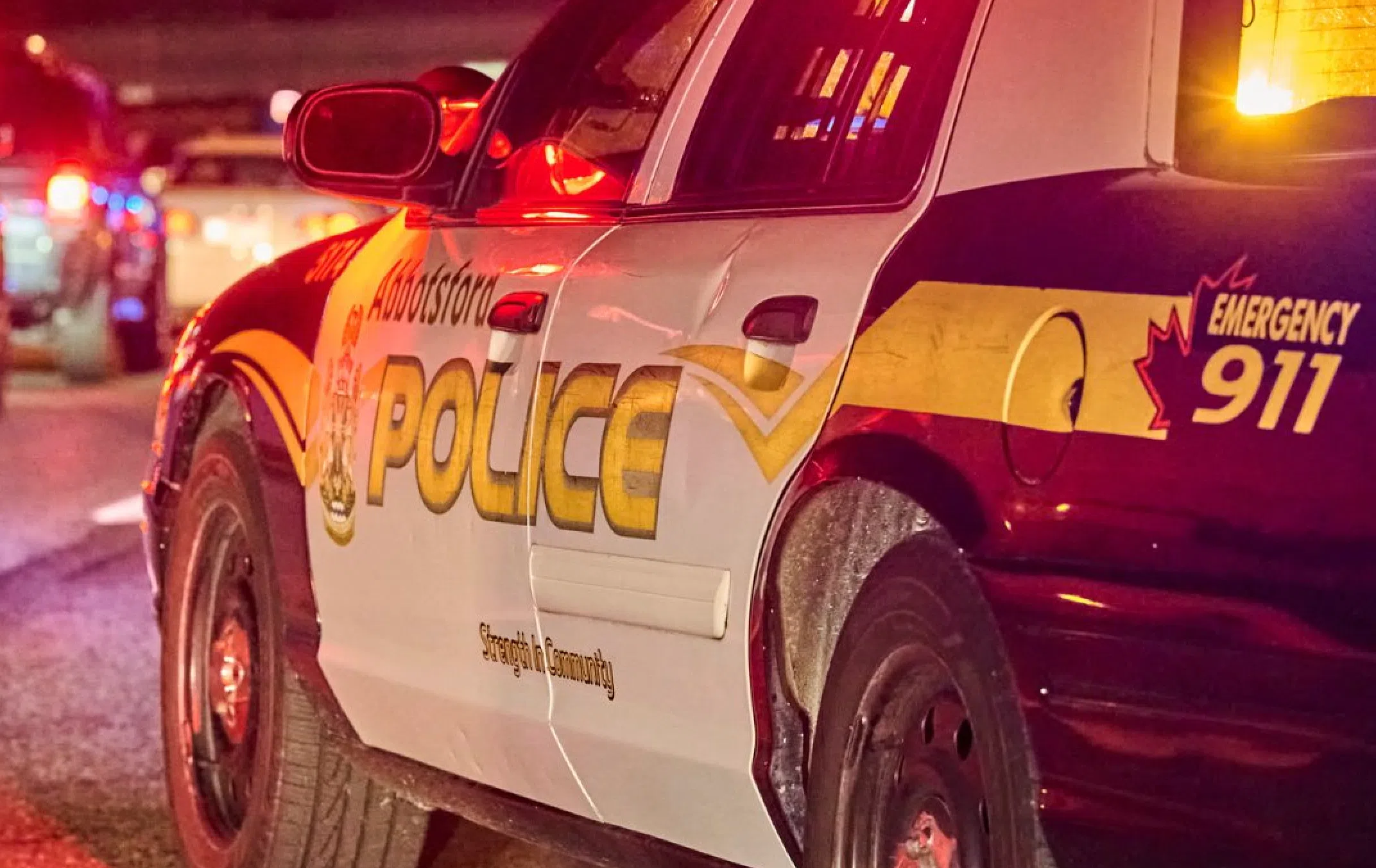 Traffic stop turns aggressive for Abbotsford police, as suspect has ...