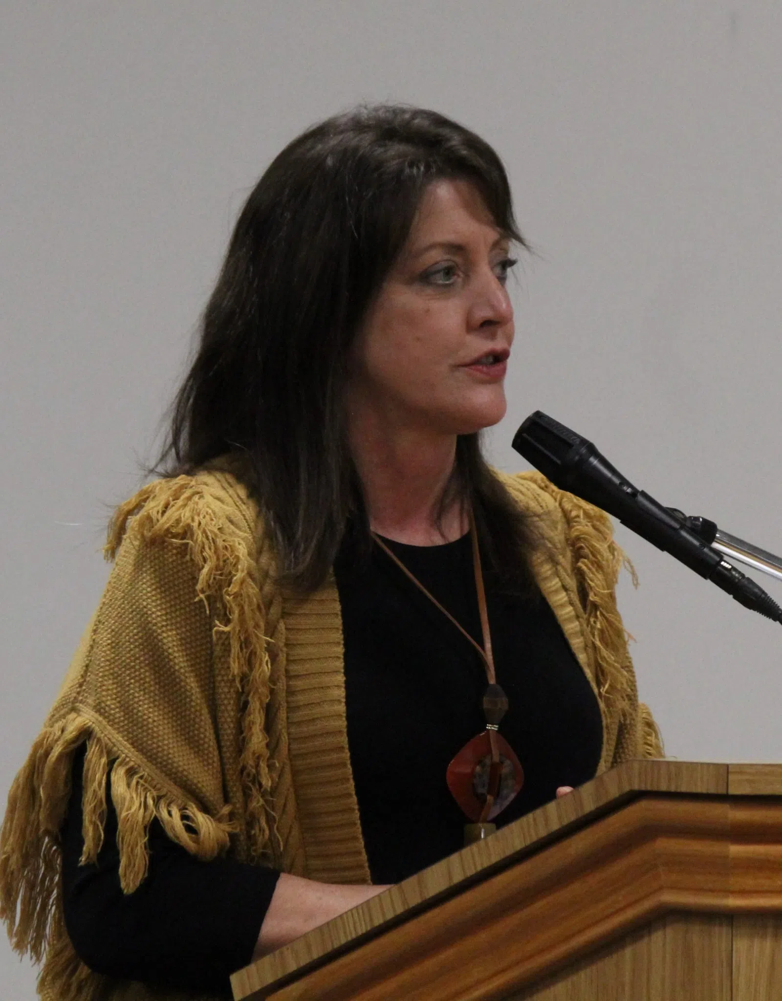 City to be pass-through for YMCA grant app; council hears 3 ...