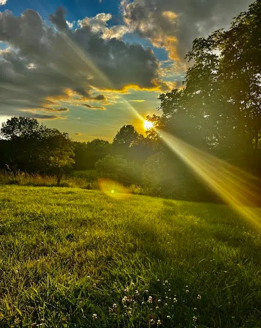 PHOTO: Practically summer | Glasgow News 1