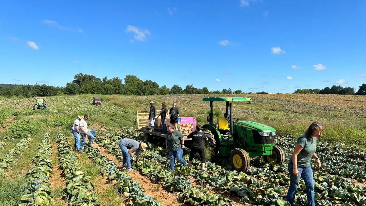 New program awards school districts for using Ky. food products ...