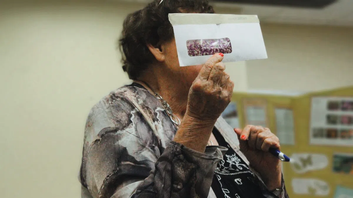 GALLERY: Build butterfly gardens with Edie Bell | Glasgow News 1