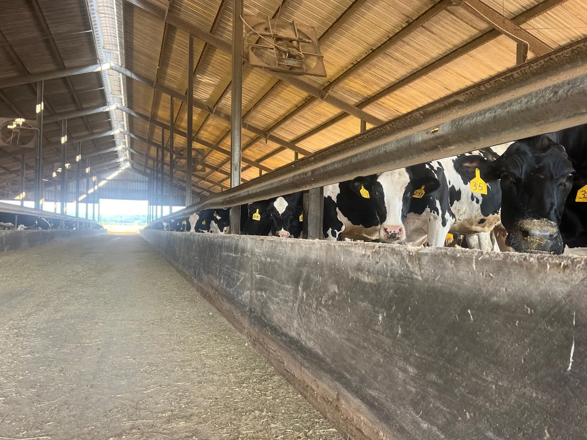 Tradition is the cornerstone for Barren’s No. 1 dairy ranking | Glasgow ...