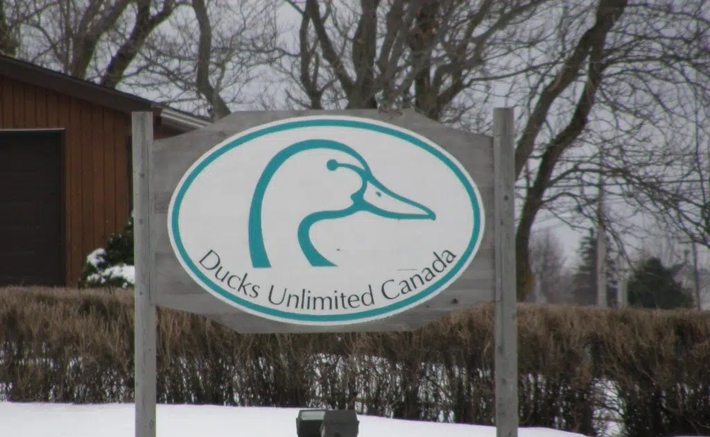 $350,000 To Support Ducks Unlimited Projects In New Brunswick | Country 94