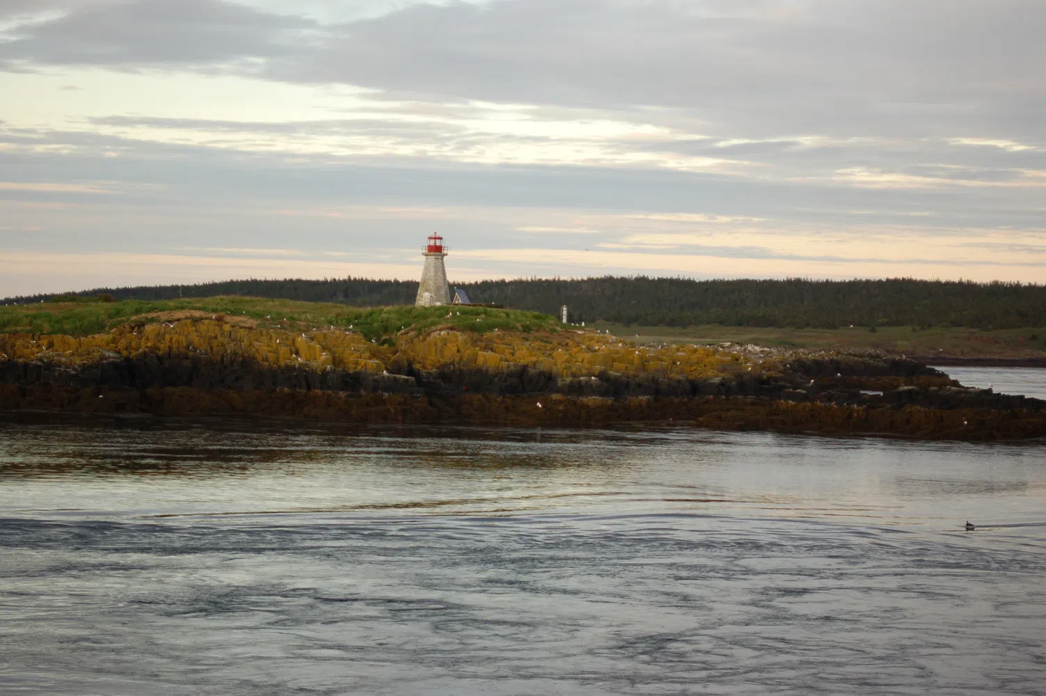 Municipality of Digby to receive federal funding to manage municipal ...