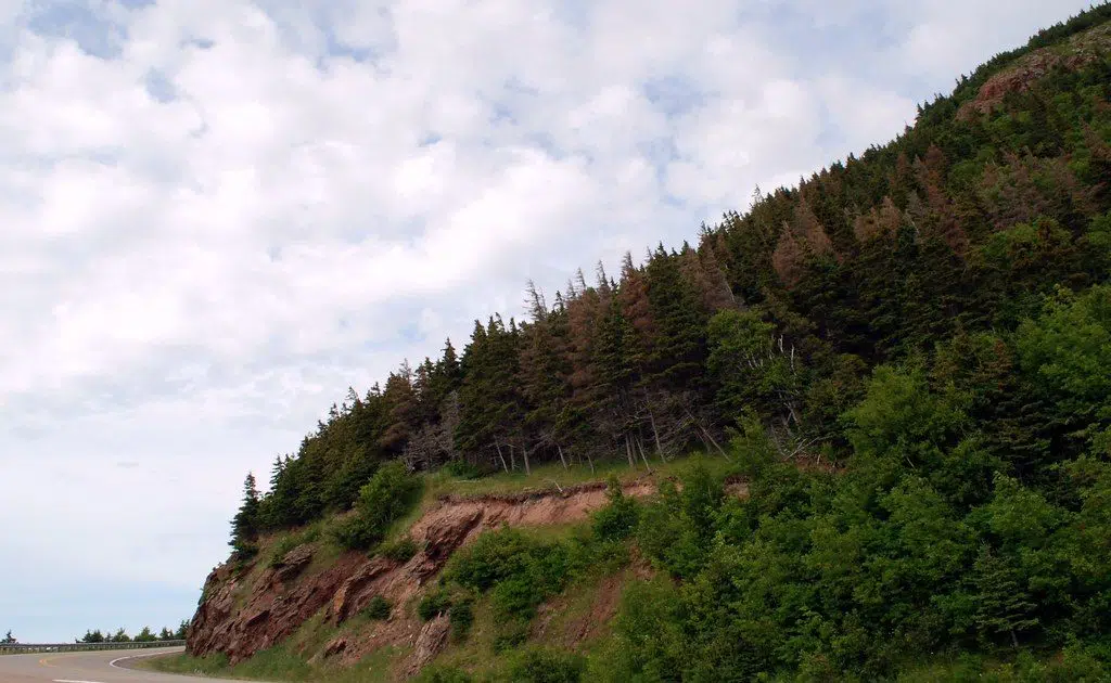 Cabot Trail Closed Due to Hurricane | 101.5 The Hawk