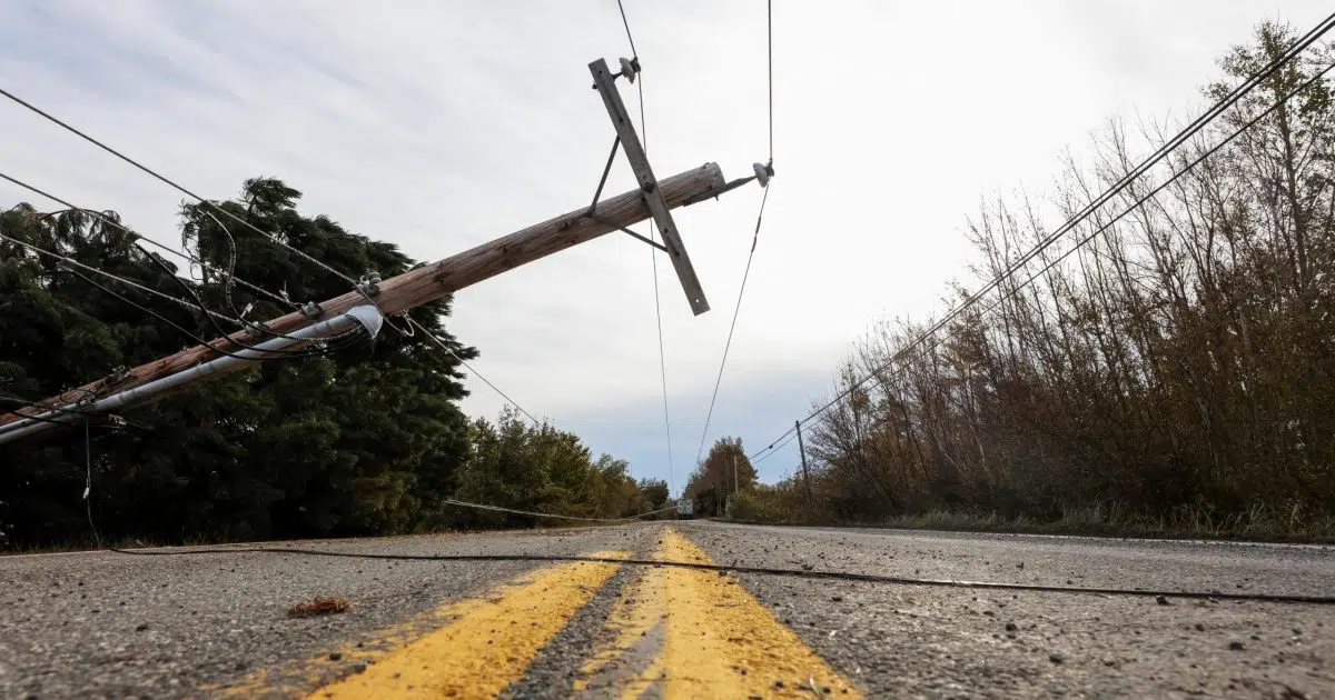 N.S. to force cell, internet providers to give rebates after lengthy ...