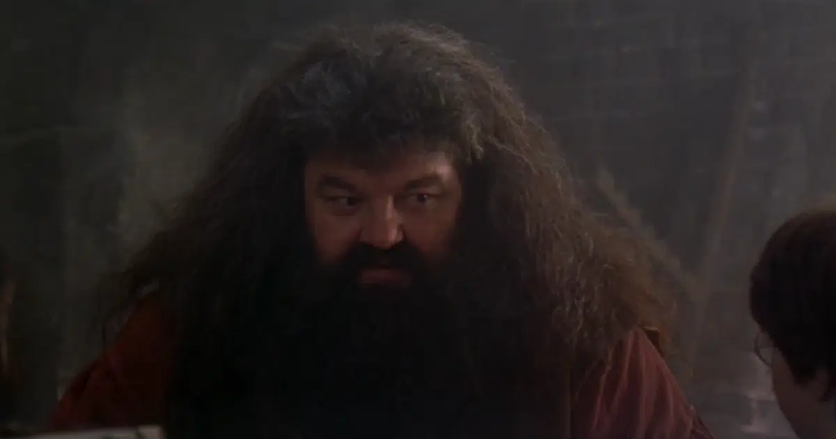 Actor Robbie Coltrane, Harry Potter’s Hagrid, has passed away | 91.9 ...