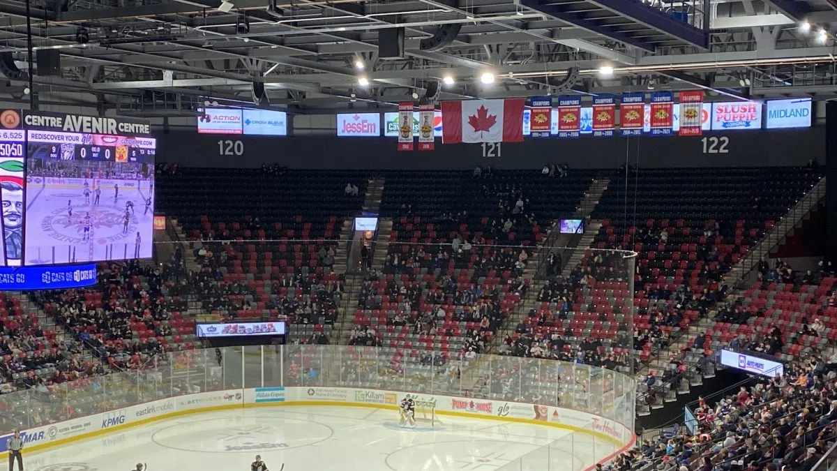 Wildcats coach wants to develop team for championship contention | 91.9 ...