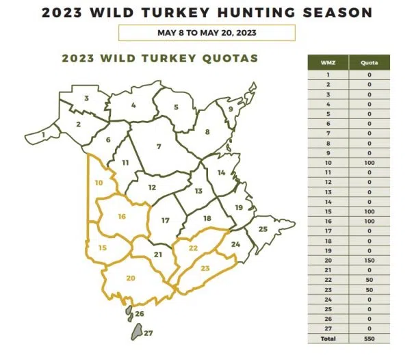 Draw results for N.B. wild turkey hunt | Country 94