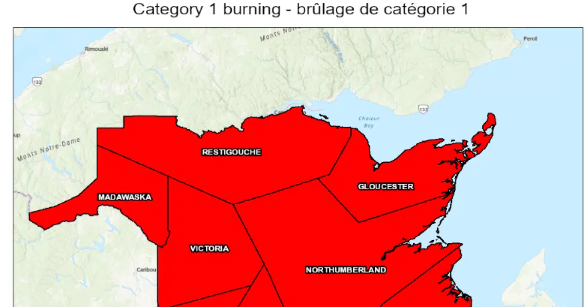 Forest Fire Watch updated daily in NB | 91.9 The Bend