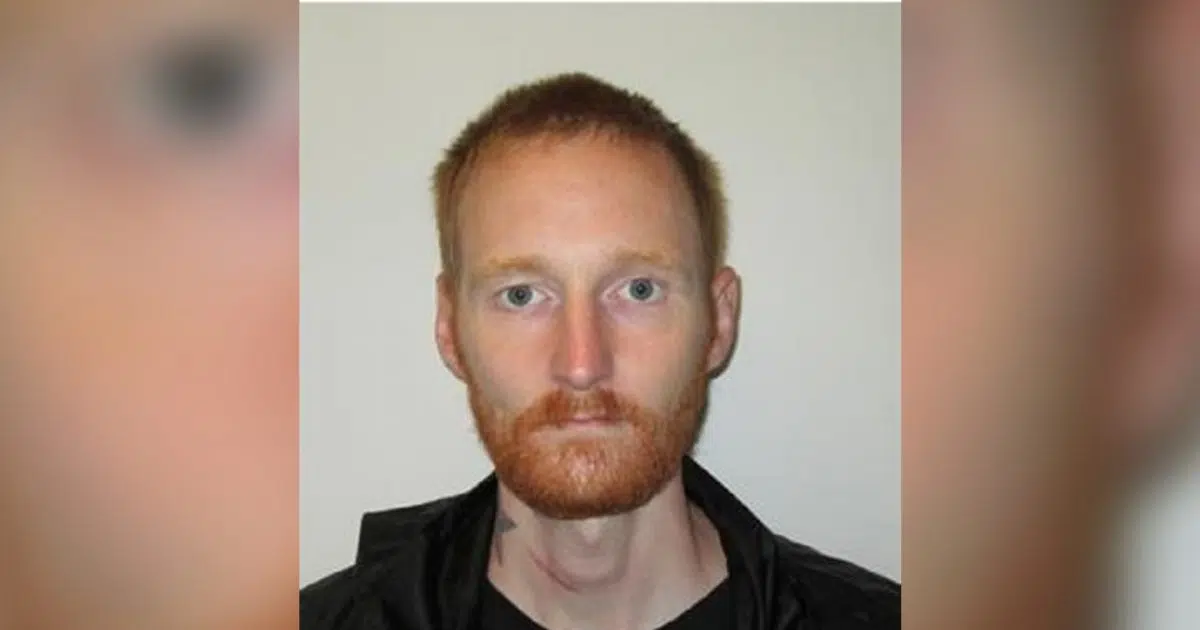 UPDATE: Convicted armed robber back in custody | Country 94