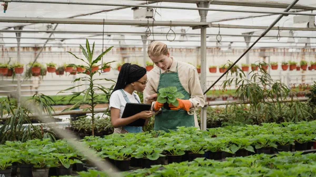 New guide encourages gardeners to plant non-invasive species | Country ...