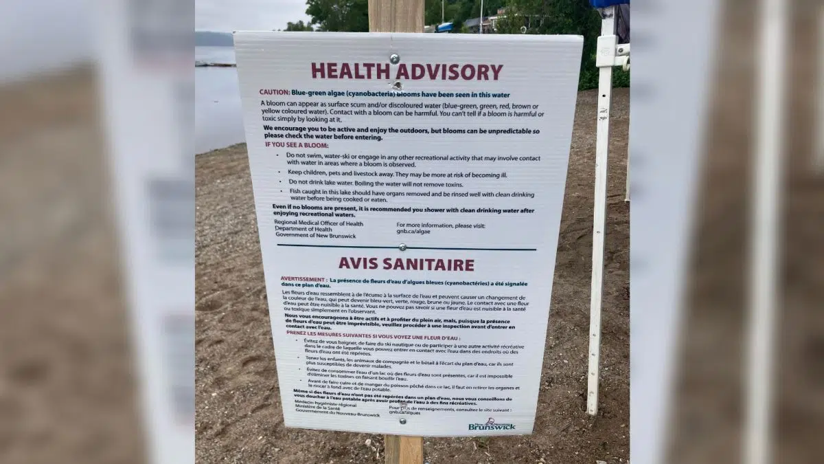 Blue-green algae advisory at Renforth Beach | Country 94