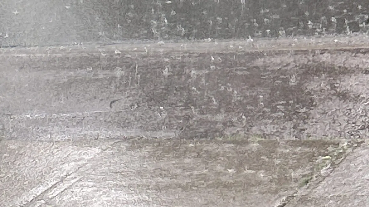 Heavy rain and flooding in NS | CKBW