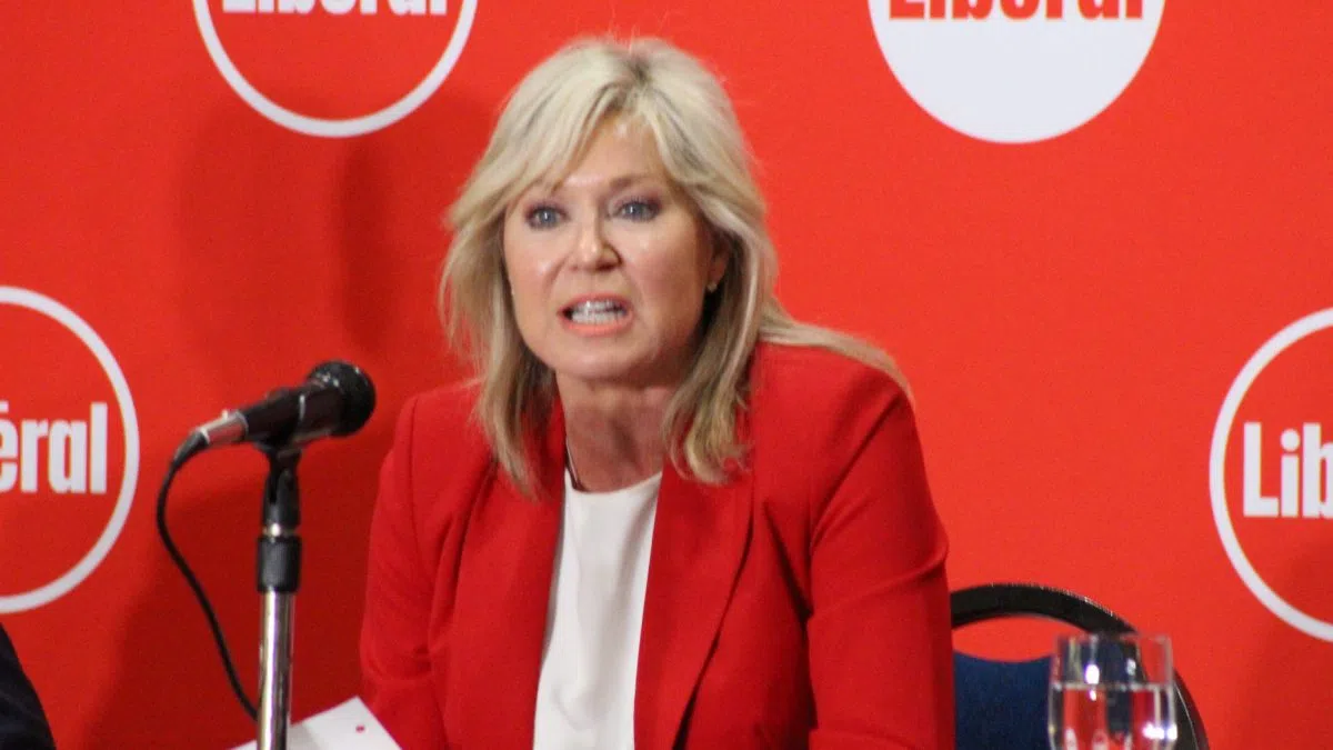 Ontario Liberals ready to vote on a new leader | CKDR