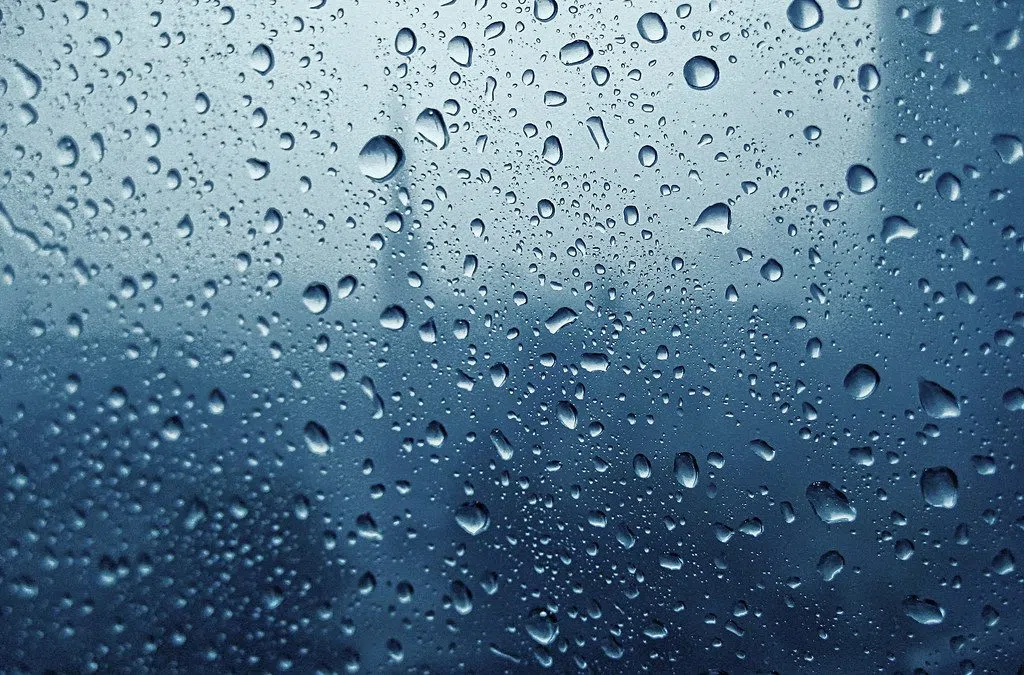 Parts of Nova Scotia to see between 40-70 millimeters of rain this ...